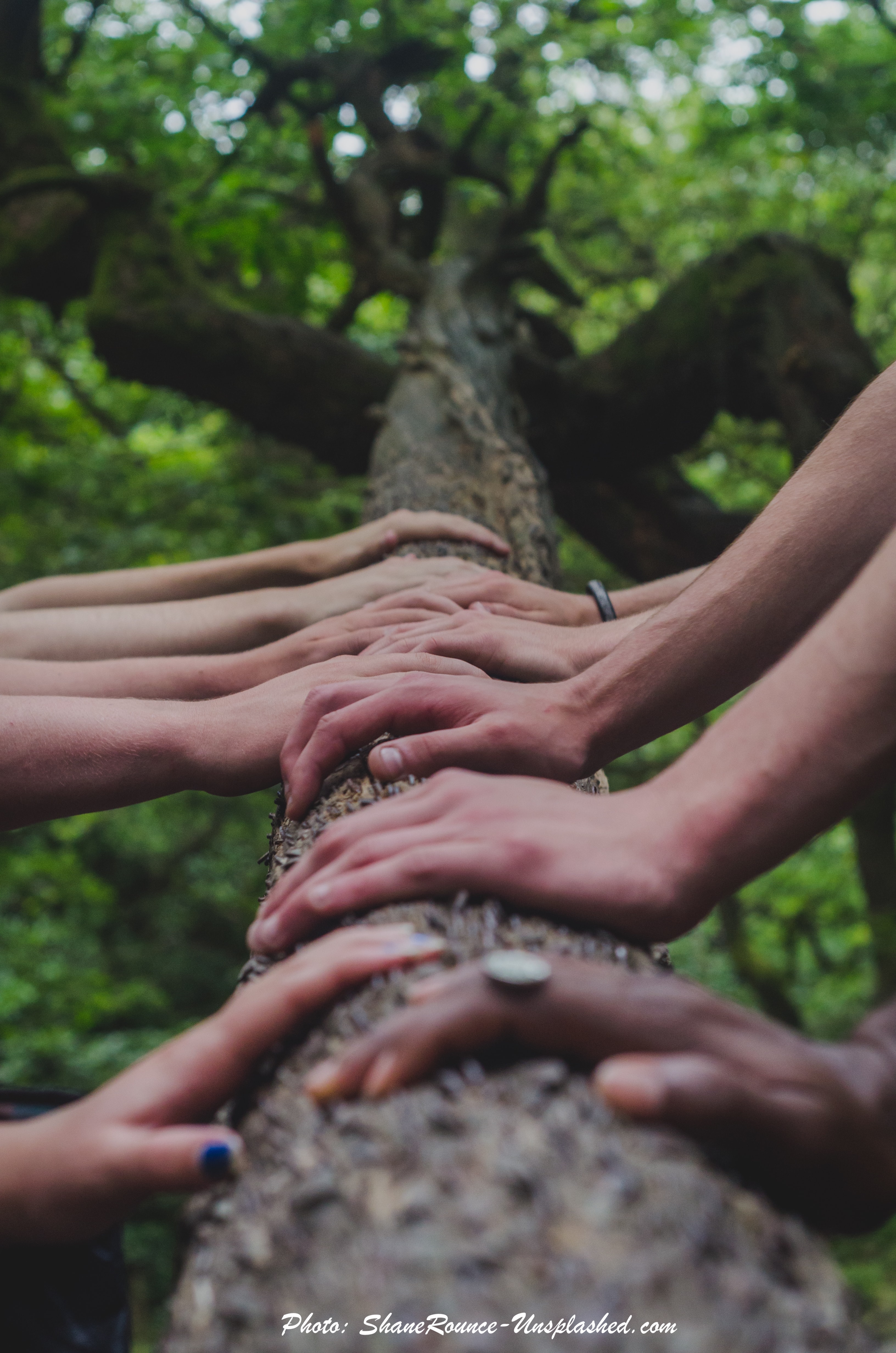 It Takes a Village… – Body Awareness with Jill Roth
